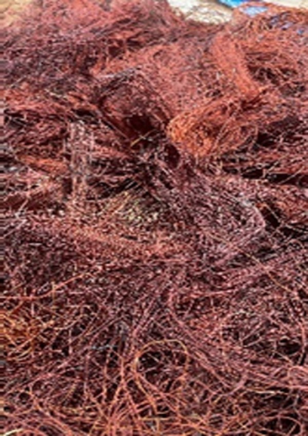 Copper > 구리 - CABI